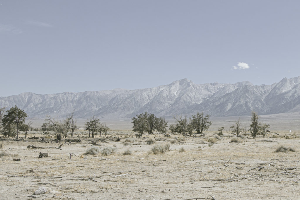 Manzanar - The Camps America Built