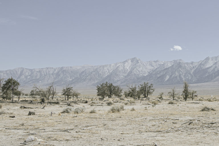 Manzanar - The Camps America Built